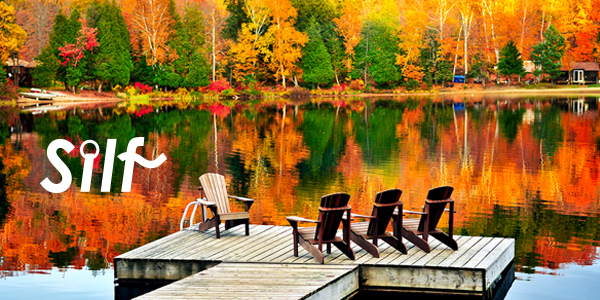 Utbildningar i inköp och logistik|Internationell standard | silf.se